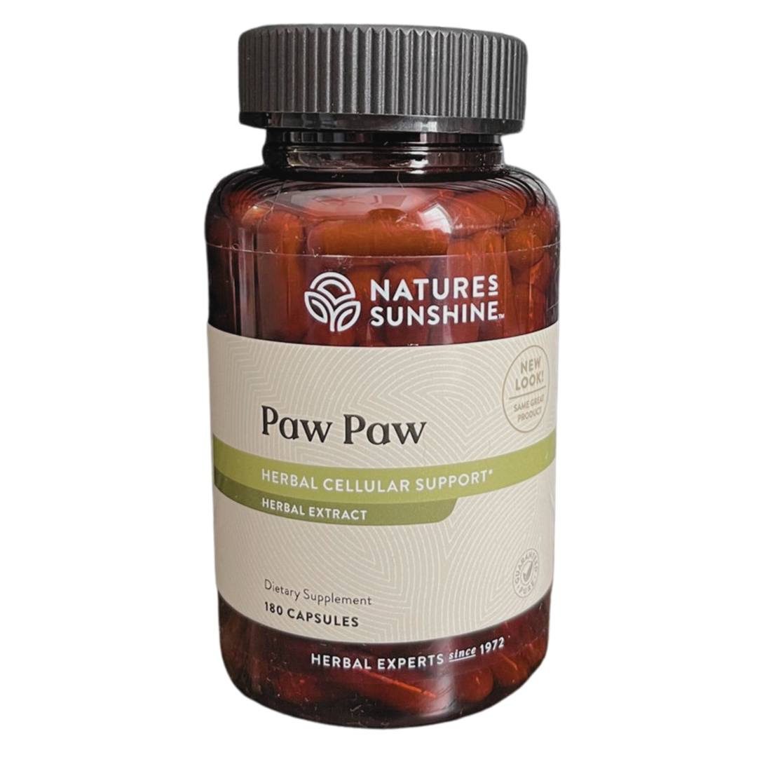 Protocel – webnd.com