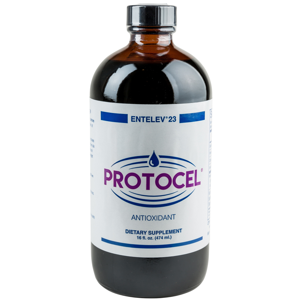 Protocel – webnd.com