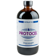 Protocel – webnd.com