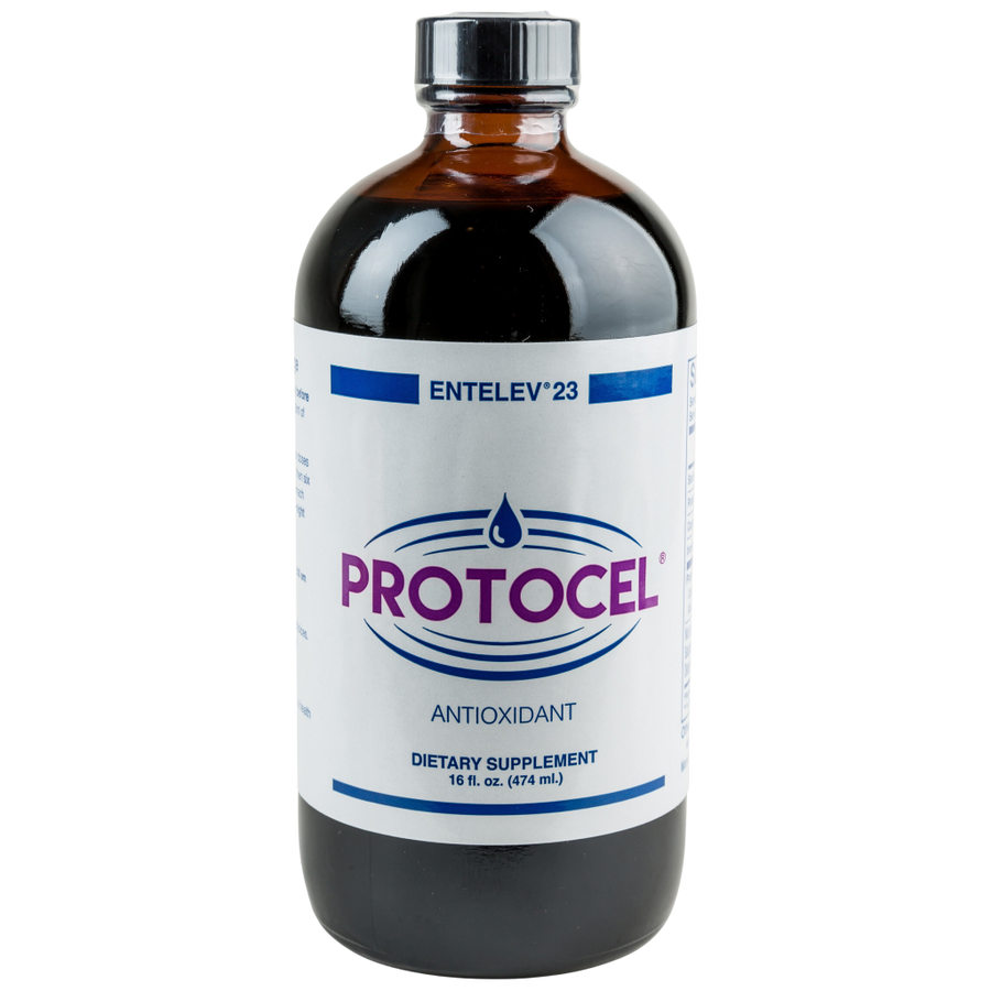 Protocel – webnd.com