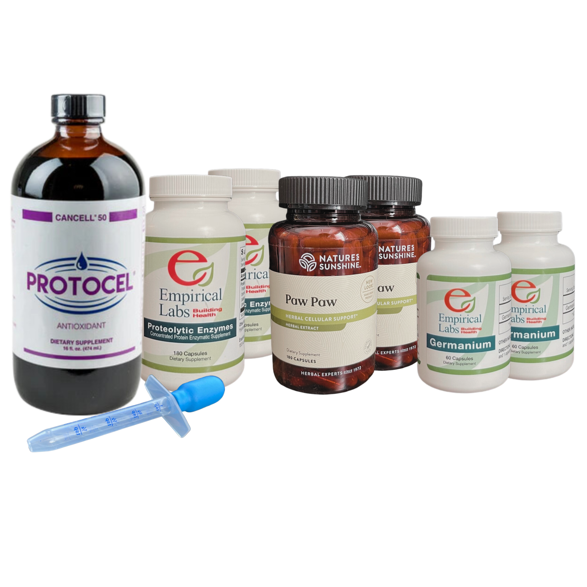 Protocel – webnd.com